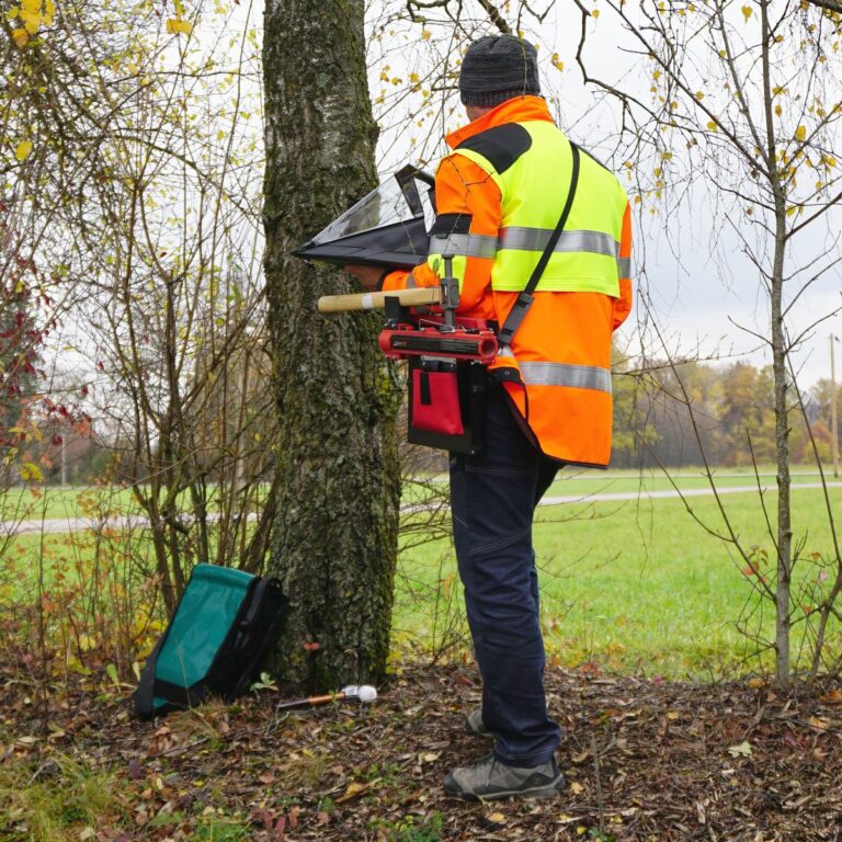 Was bedeutet, Baumkontrollen sind Pflicht? - Baumpflegeportal