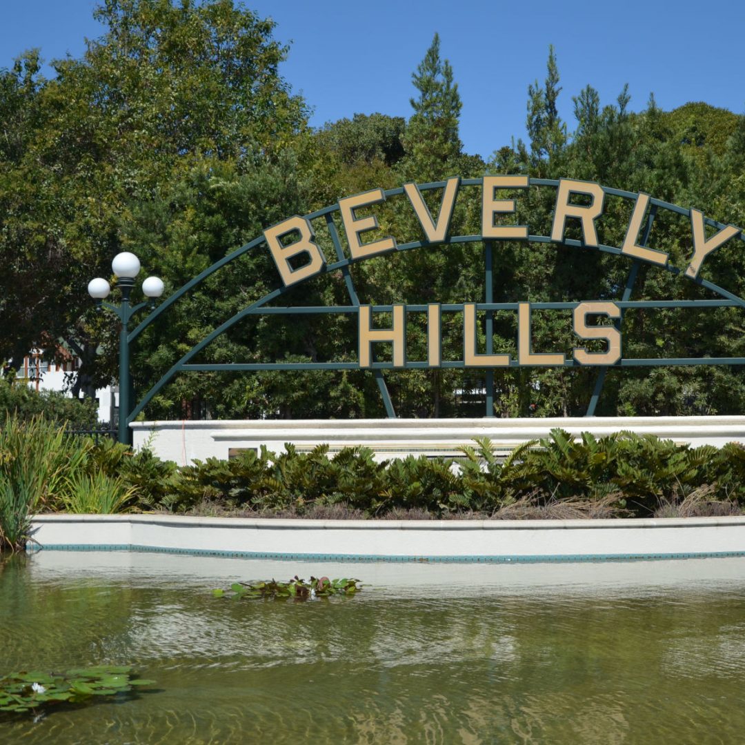Moreton Bay Fig: Riesiger Baum am Beverly Hills Sign – Baumpflegeportal